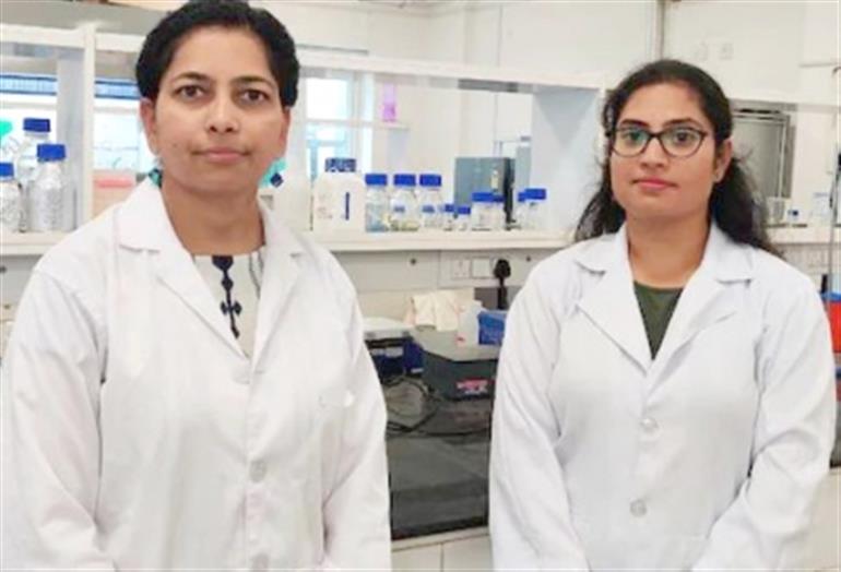 IIT team uses natural smart nanoparticles to treat colorectal cancer