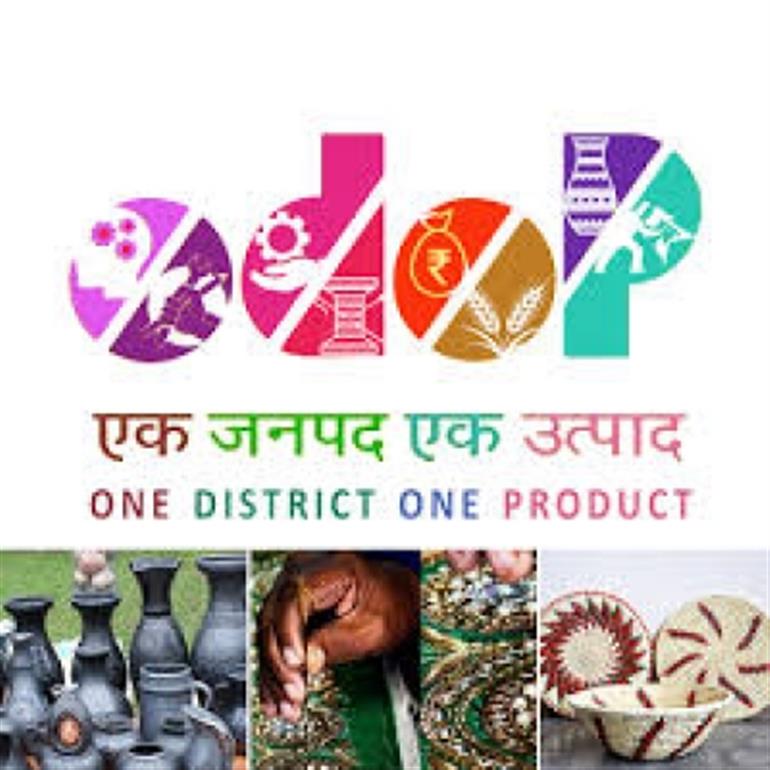 One District One Product Export Hub can capitalise on raw materials ...
