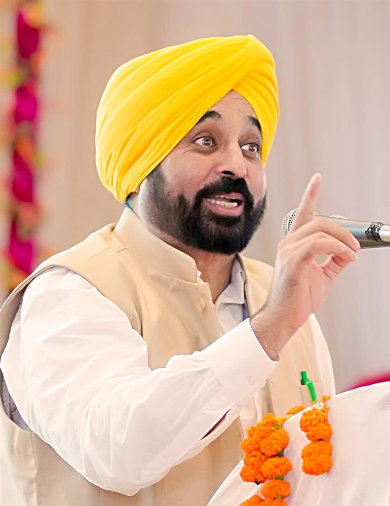 Chief Minister Bhagwant Singh Mann to honour 13 eminent personalities ...