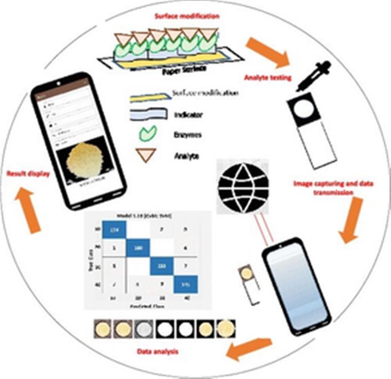 New paper-based device to make on-spot glucose testing using smartphone