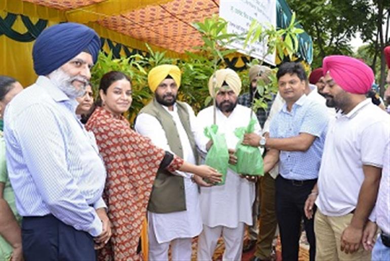 Mandi board & PSPCL's initiatives aimed at preserving the environment ...
